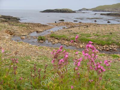 Photo 6x4 Burn at East Voe of Quarff Easter Quarff The Burn of Couster ...