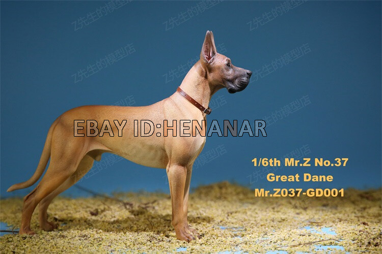 Miniature Great Dane