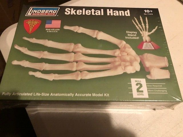 Lindberg Models 71313 Skeletal Hand Life Size model kit HH | eBay