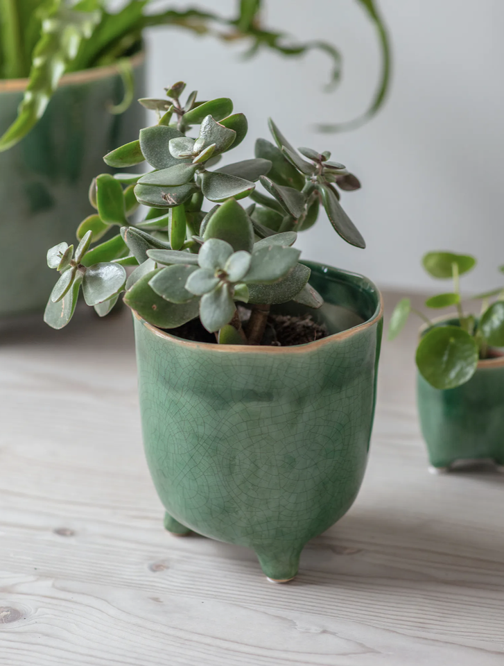 Forest Green Crackle Glaze Positano Ceramic Plant Pot Cover with Feet ...