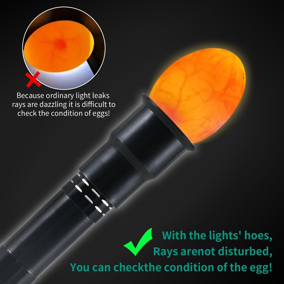 Egg Candler, Candling Light Tester for Eggs with High Intensity,Egg ...