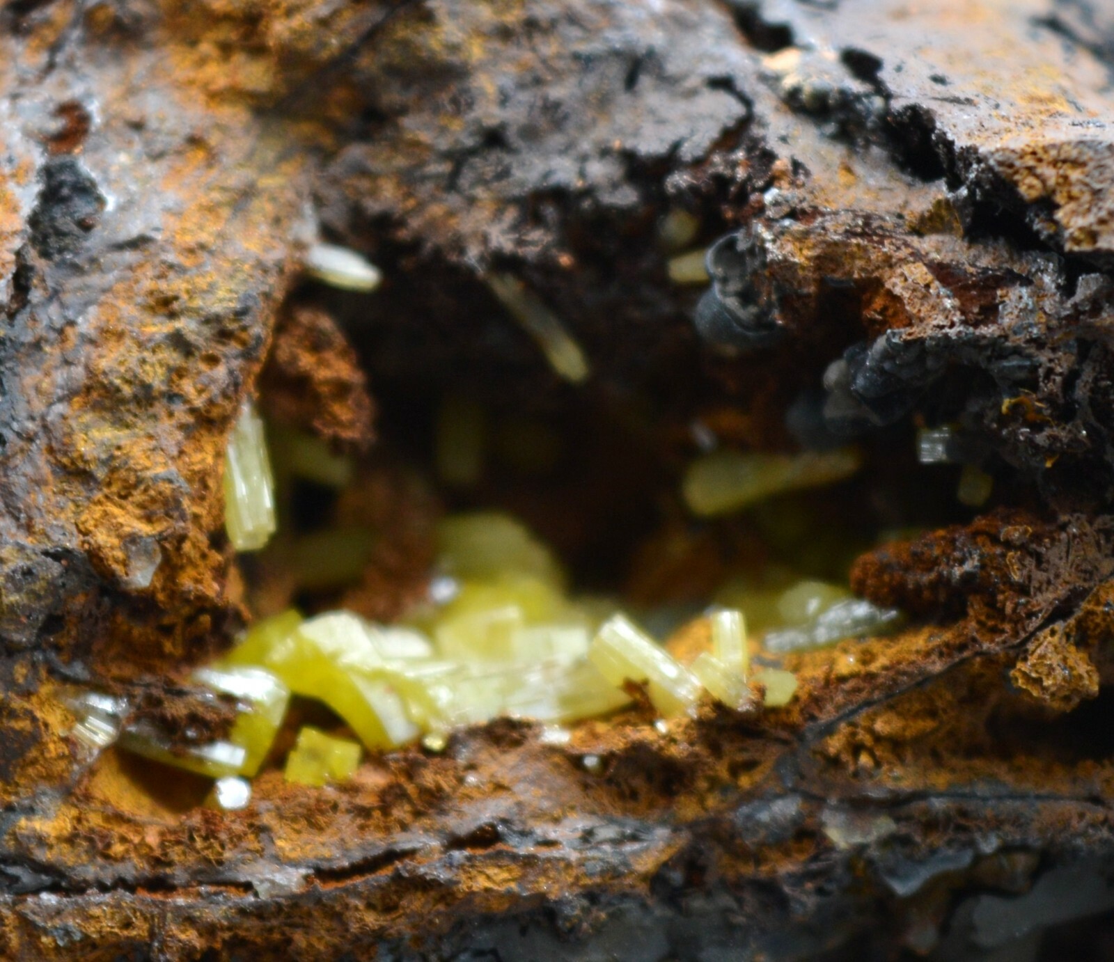 Pyromorphite & Goethite 5oz - Moulay Bouazza, Khénifra, Morocco | eBay