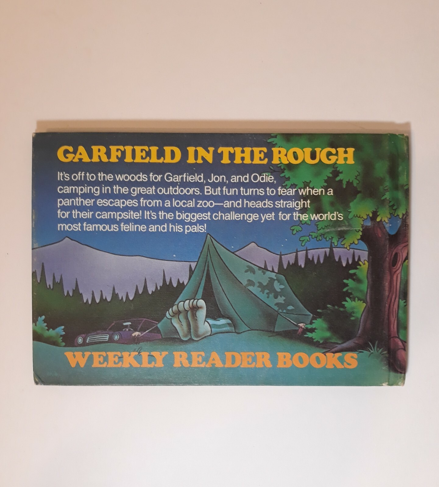 Garfield In The Rough, Comic Strip Book Jim Davis (1984, First Edition ...