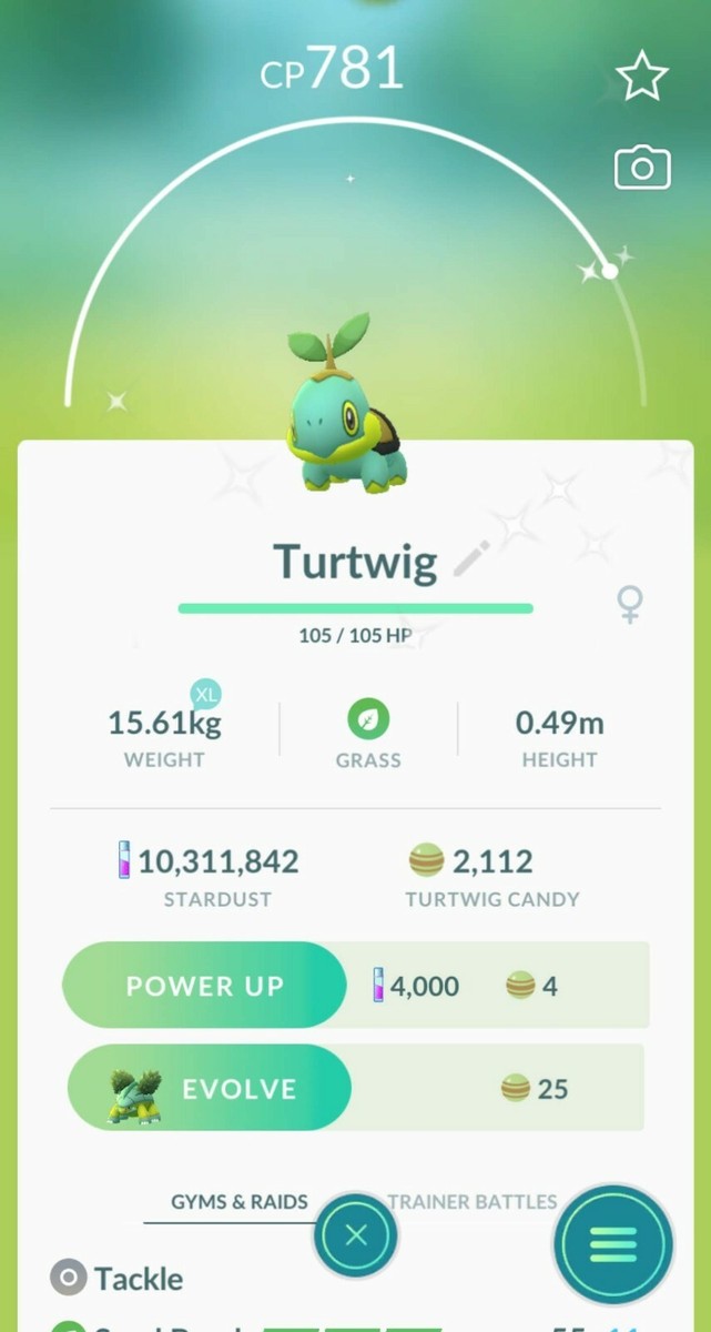 Shiny Turtwig Evolution