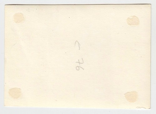 Nudismus NACKTE SÜDLÄNDERIN SONNT SICH IN DEN DÜNEN / AKTFOTO * Vintage ...