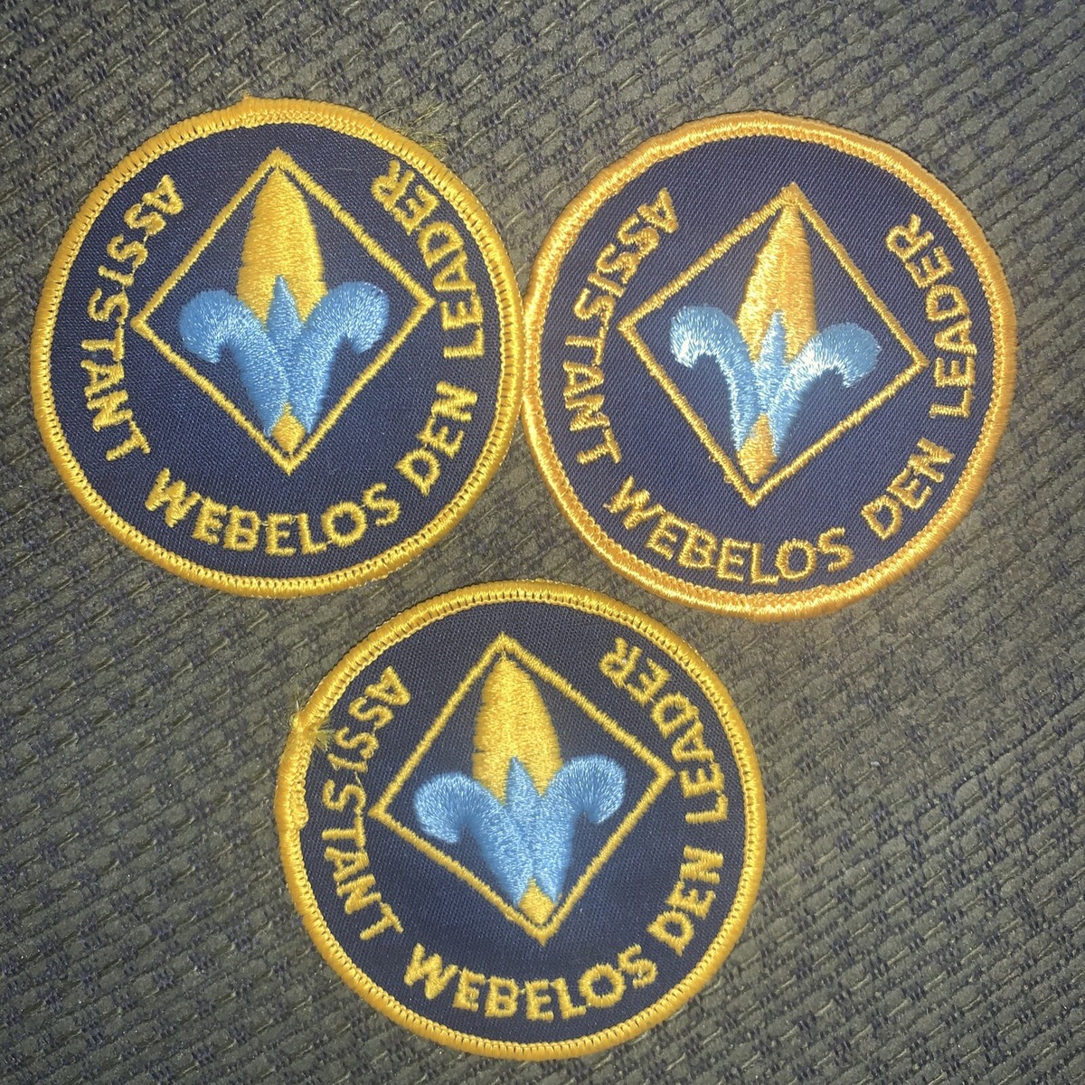 Cub Scout Webelos Logo