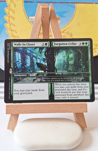 MTG - WALK-IN CLOSET / FORGOTTEN CELLAR - (DSK 0205) Duskmourn Set | eBay