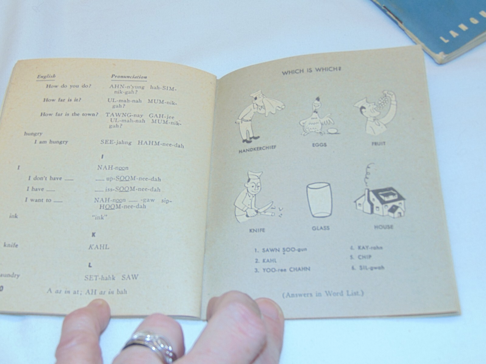 WW2 US Army Language Guides French 30-302, German 30-306 Dutch 30-307 ...