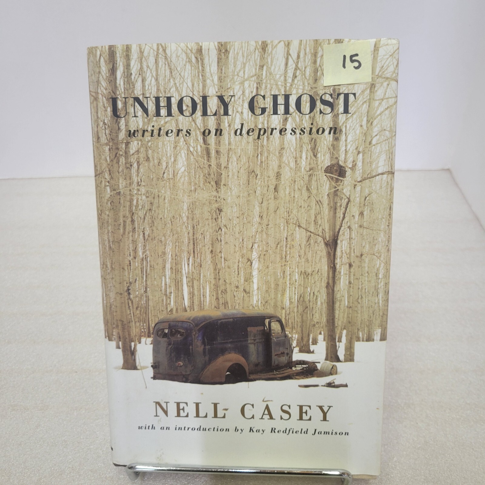 Unholy Ghost: Writers on Depression by Casey, Nell , hardcover 299 ...