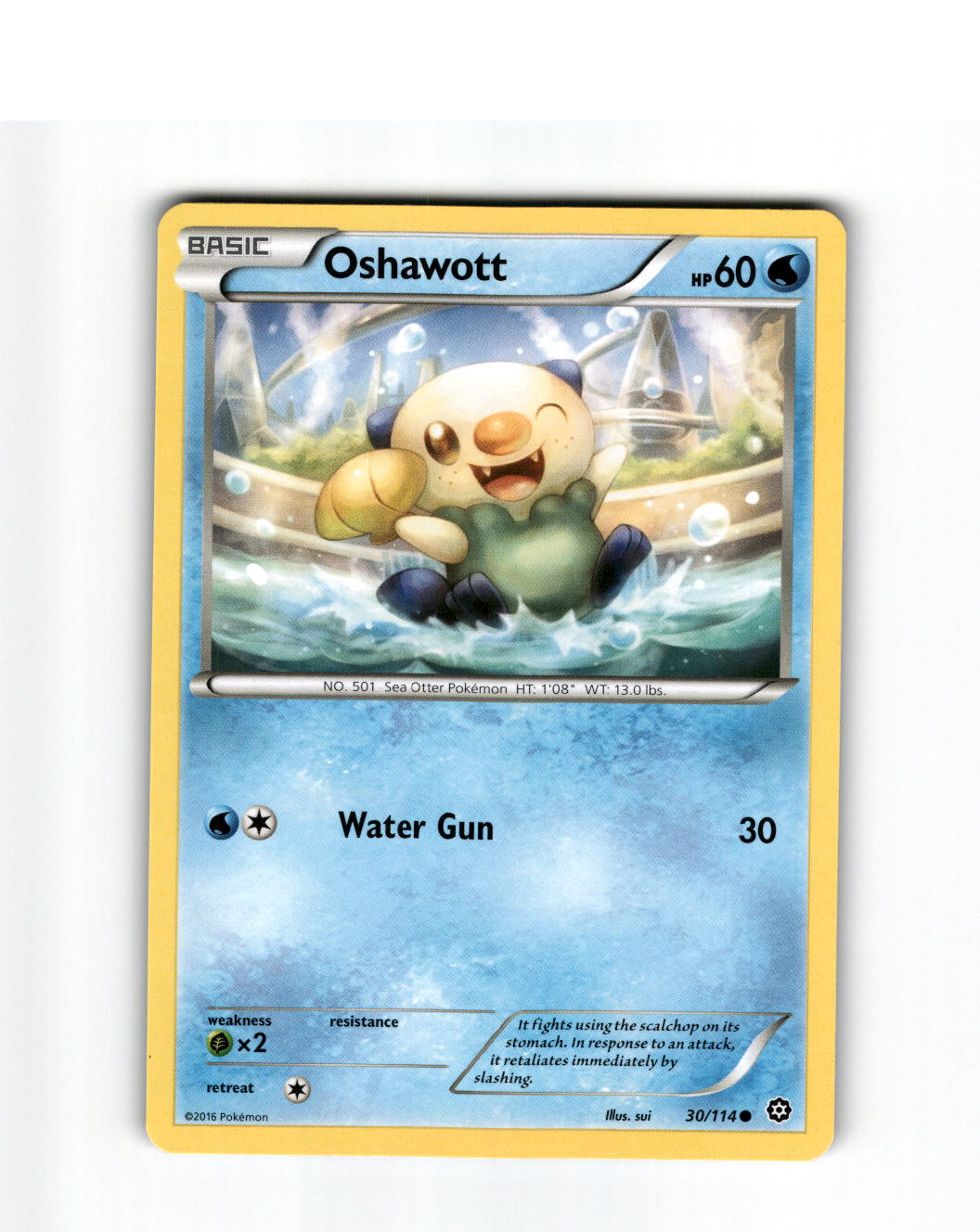 Pokemon Oshawott Card