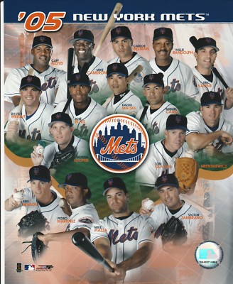 2005 NEW YORK METS COLLAGE TEAM 8X10 LICENSED PHOTO FILE | eBay
