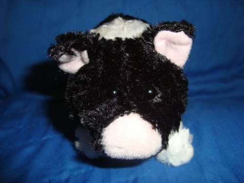 Gund Telus Black & White Pig Plush # 046857 3" tall x 5" long | eBay