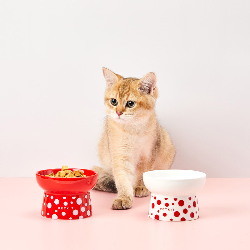 PETKIT Ceramic Cat Kitten Bowls Elevated Pet Food Water Bowl Porcelain ...