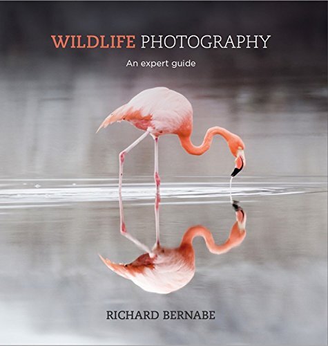 WILDLIFE PHOTOGRAPHY: AN EXPERT GUIDE By Richard Bernabe **Mint ...