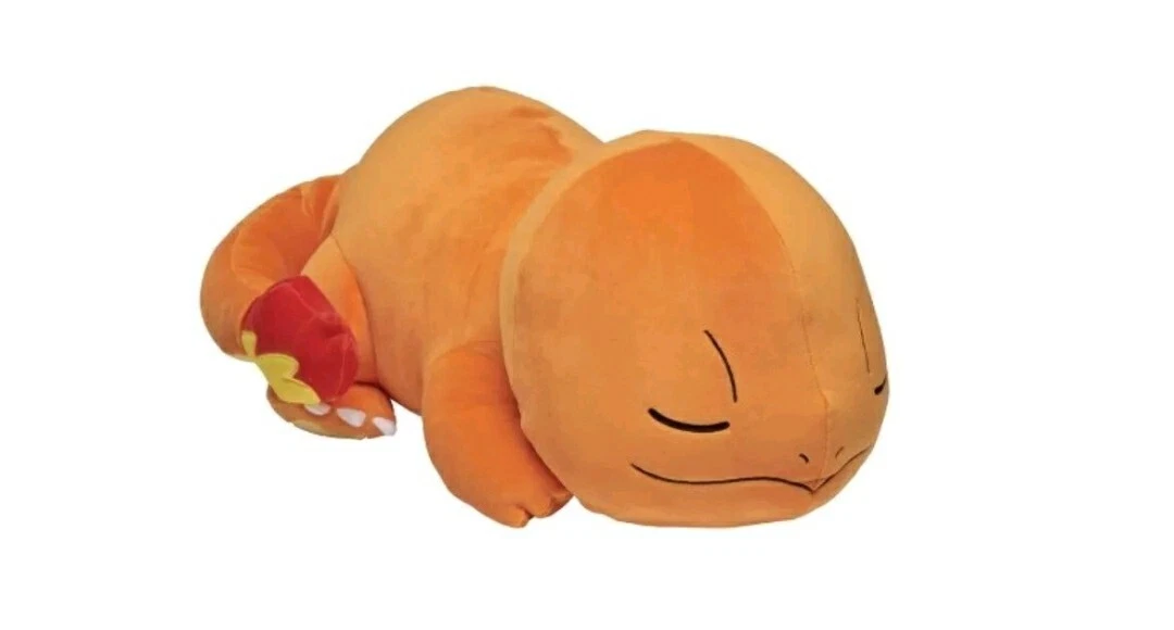 Charmander Sleeping