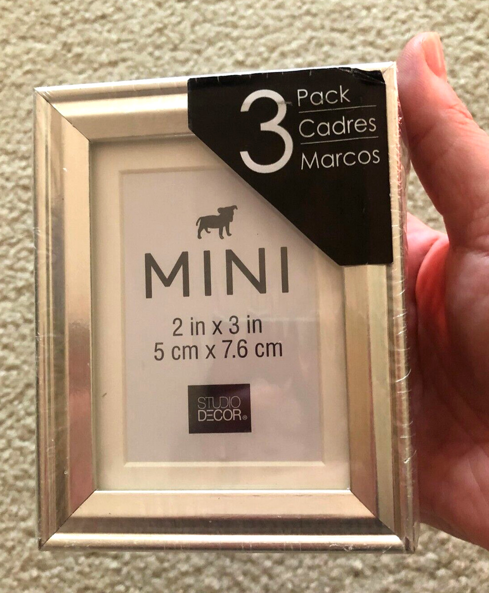 2 X 3 Poster Frame
