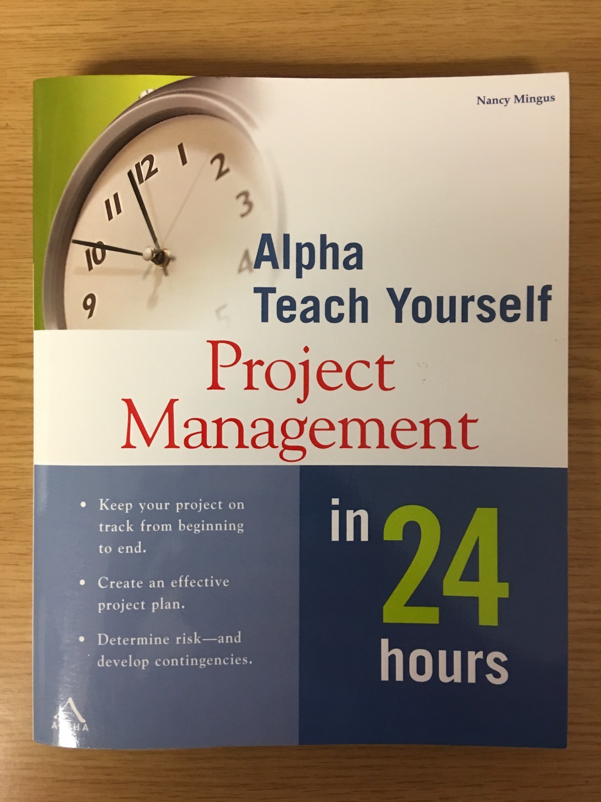 Alpha Teach Yourself: Project Management in 24 hours 9780028642239| eBay
