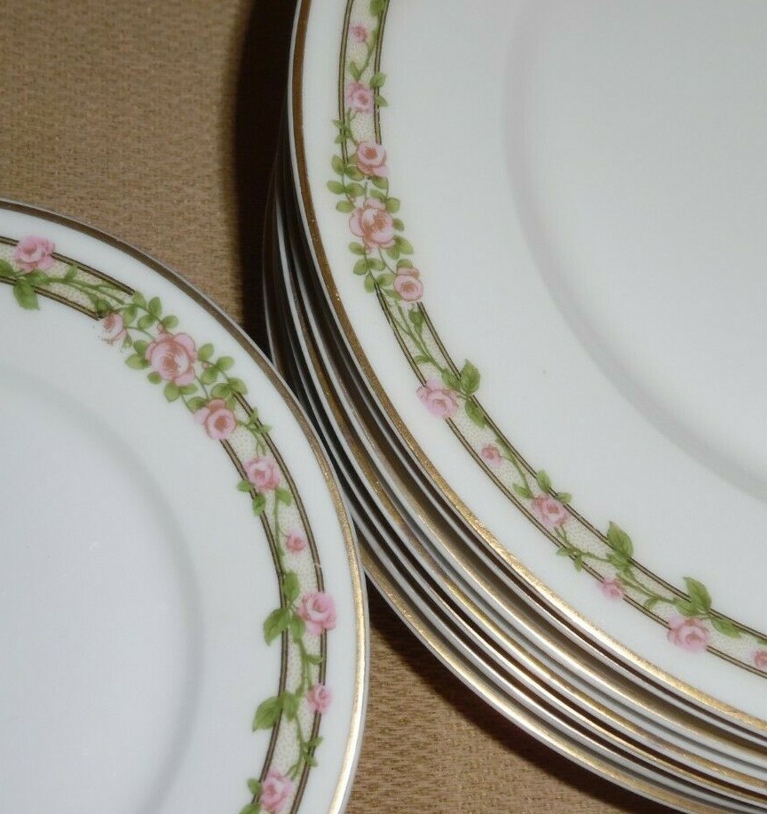 Theodore Haviland Limoges Porcelain Dinner Set - Wanamaker - Schleiger ...