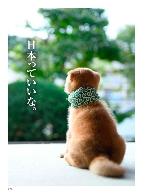 Nidaime Wafu Sohonke Ouchi No Mamesuke Official Photo Book (art Book ...