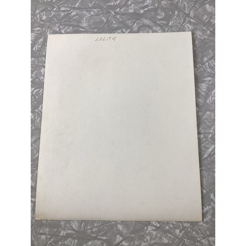 Vintage 1950s Burlesque Dancer 8x10 Photo Unknown Photograph | eBay
