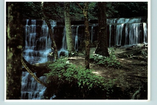 Postcard Natchez Trace Parkway Jackson Falls in honor of Andrew Jackson ...
