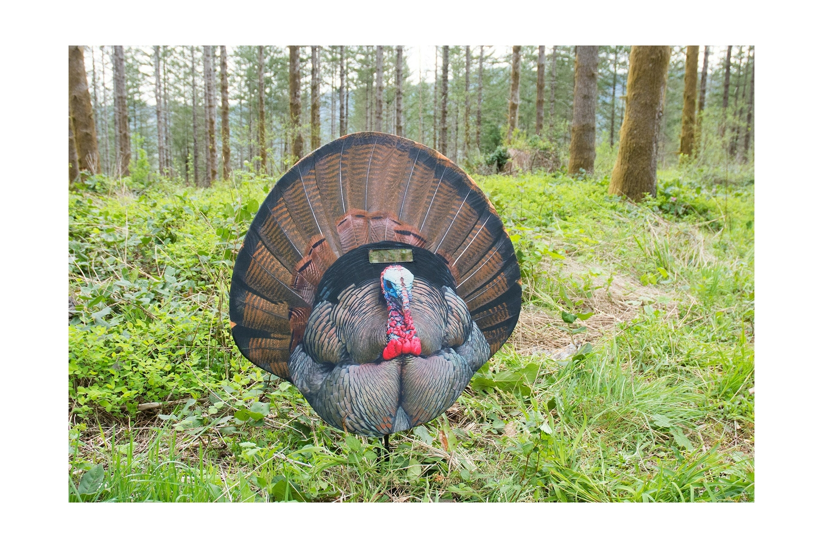 MONTANA DECOY Fanatic Reaping Decoy Packs Turkey Light Realistic Light ...