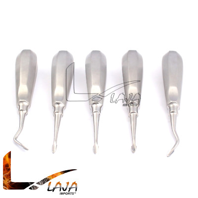 5 SPADE Concave Elevators Dental Surgical Instruments Stainless Steel ...