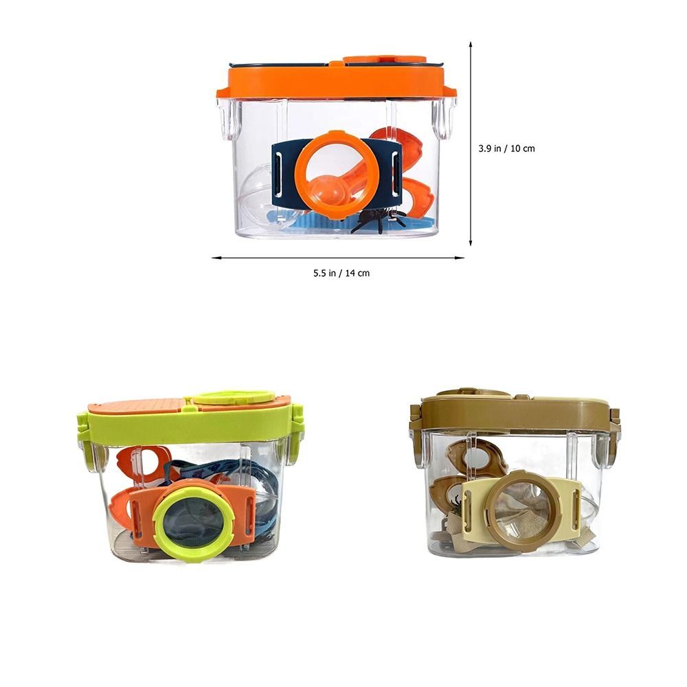 Plastic Insect Box Transparent Insect Observer Box Bug Viewer ...