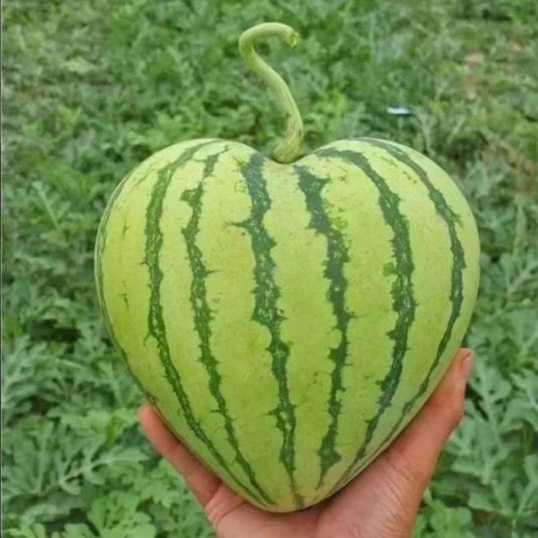 Shaped Watermelon