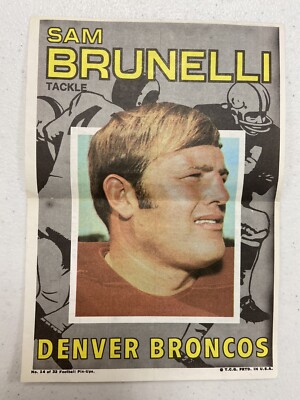 Awesome 1971 Topps Poster Pin Ups Sam Brunelli #14 Good/Good+ Condition ...
