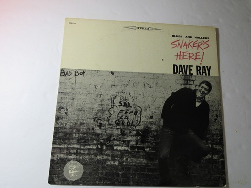 Dave Ray "Snaker's Here" Elektra EKS-7284, Stereo LP, 1965, lightly ...
