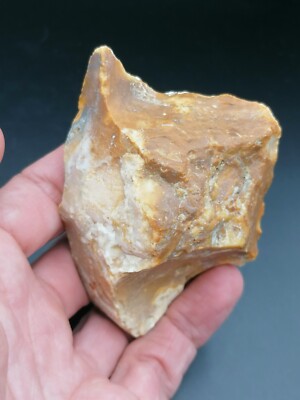 Neolithic & Paleolithic - Neanderthal Borer