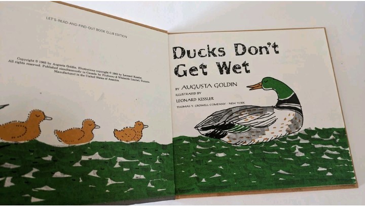 Ducks Don't Get Wet 1965 Hardcover Childrens Book By Augusta Goldin | eBay