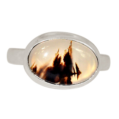 Natural Montana Agate From The Yellowstone River 925 Silver Ring s.9 ...