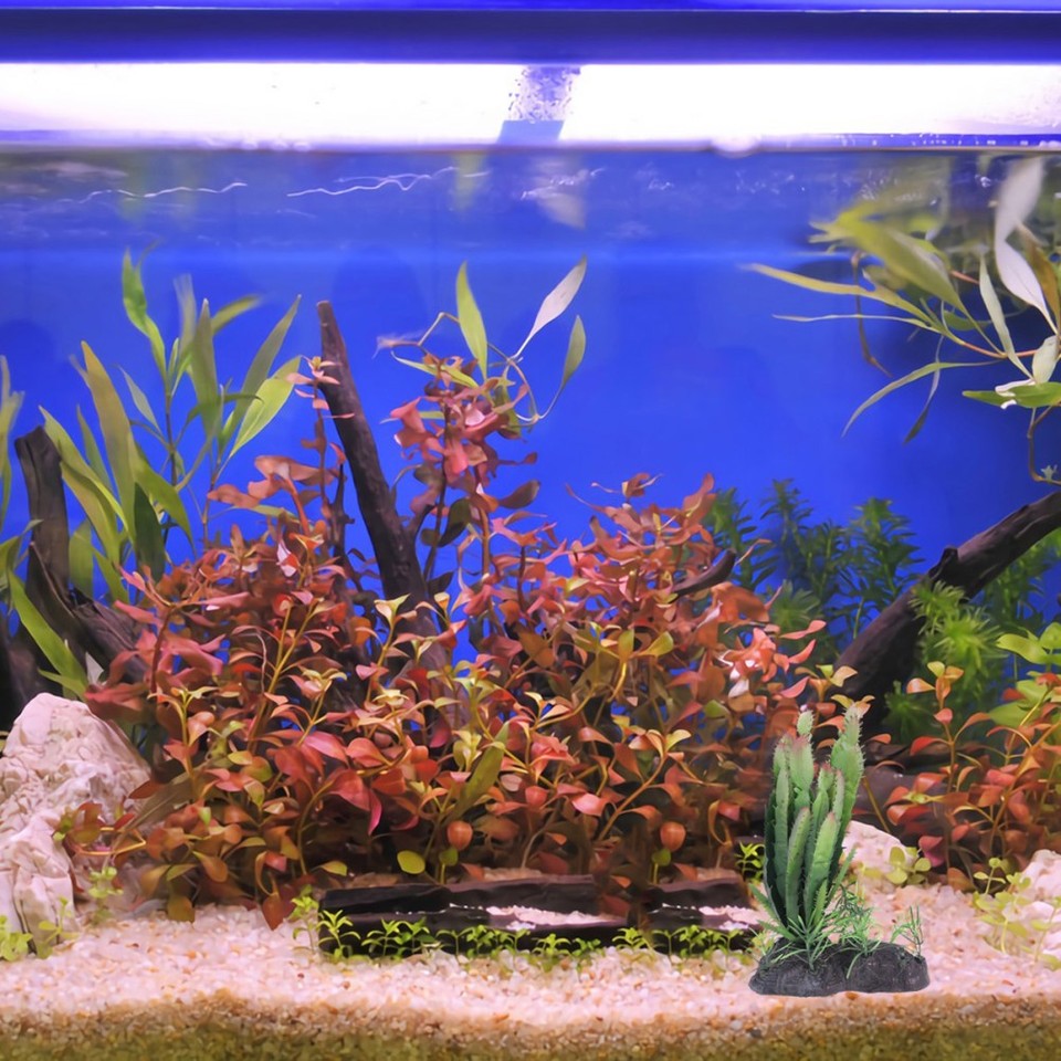 Reptile Cage Decoration Gecko Tank Accessories Terrarium Plants ...