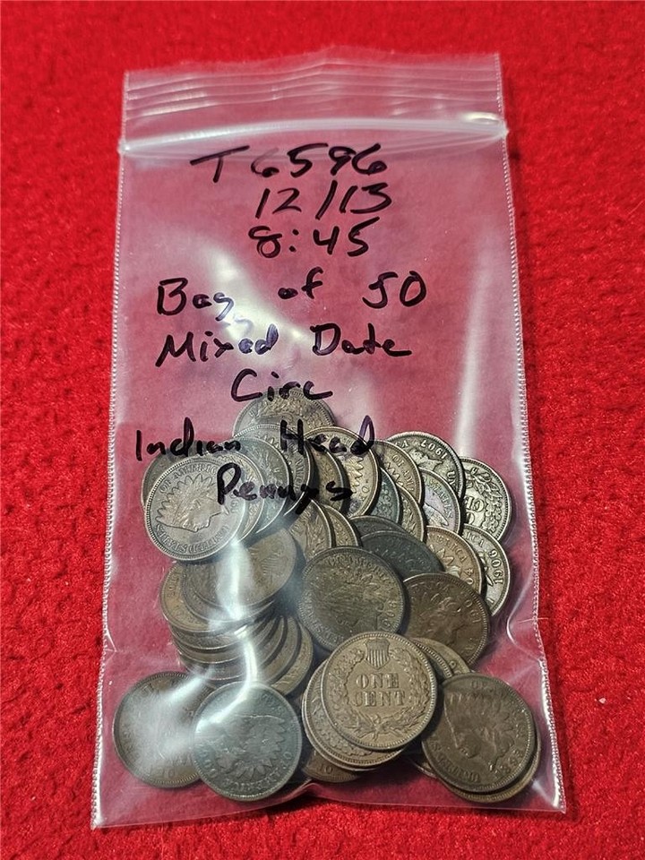 Dealer's Overstock Bag of 50 Circulated MIXED DATE Indian Head Penny's ...