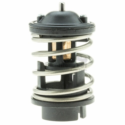 One New Motorad Engine Coolant Thermostat 733176 95510612600 | eBay