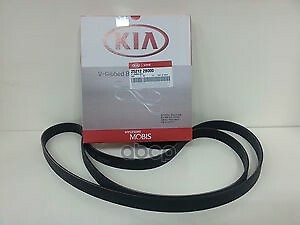 252122B000 Kia Rnc vribbed belt 252122B000, New Genuine OEM Part | eBay