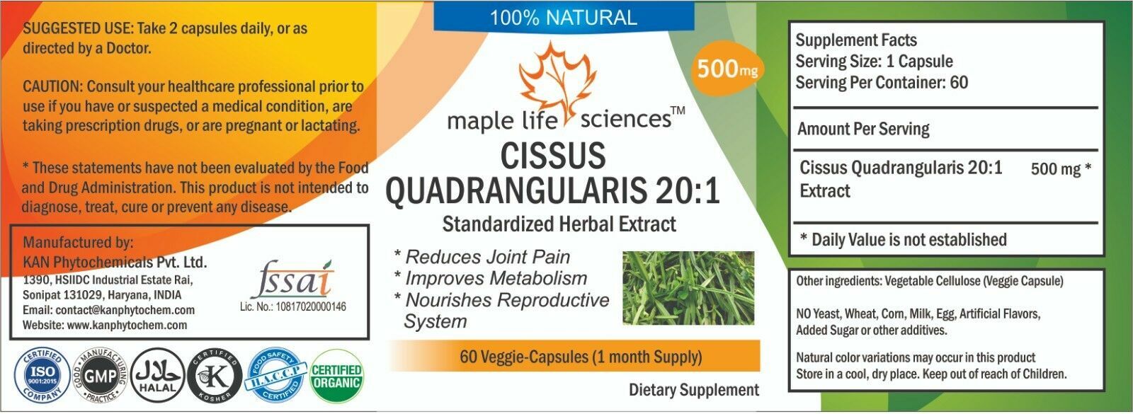 Cissus Quadrangularis Extract Capsules For bone strengthing ...