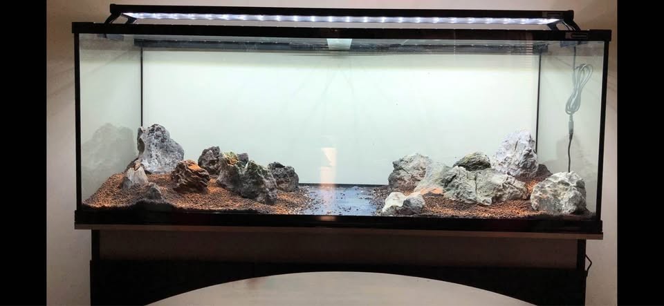 Aqua One Horizon Aquarium Fish Tank and Cabinet - 182L | eBay UK