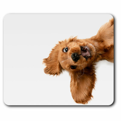 Computer Mouse Mat - English Cocker Spaniel Puppy Dog Office Gift ...