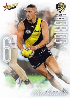 2019 RICHMOND TIGERS AFL Premiers Card SHAUN GRIGG Footy Stars | eBay