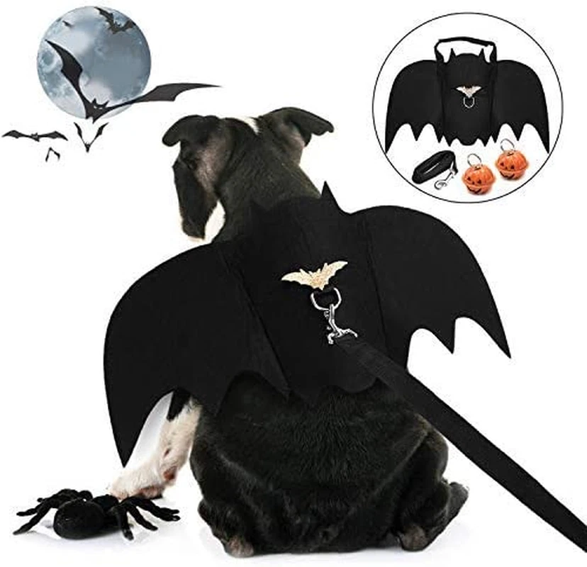 Bat Wings For Dogs