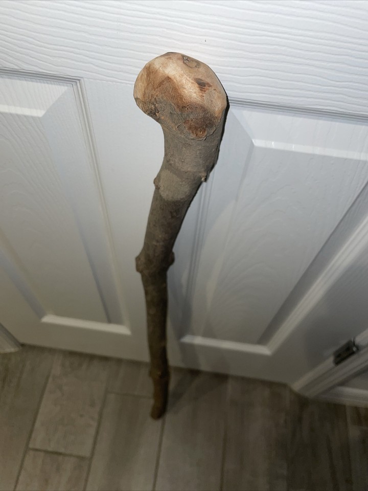 35” Unfinished Natural Shillelagh Irish Celtic Walking Cane Solid | eBay