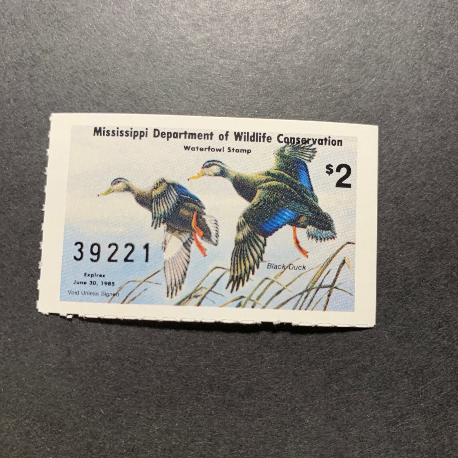 WTDstamps - 1985 MISSISSIPPI - State Duck Stamp - Mint OG NH - | eBay