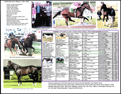 Race Horse Stallion TIZNOW Picture Pedigree Jockey Chris McCarron 11 x ...