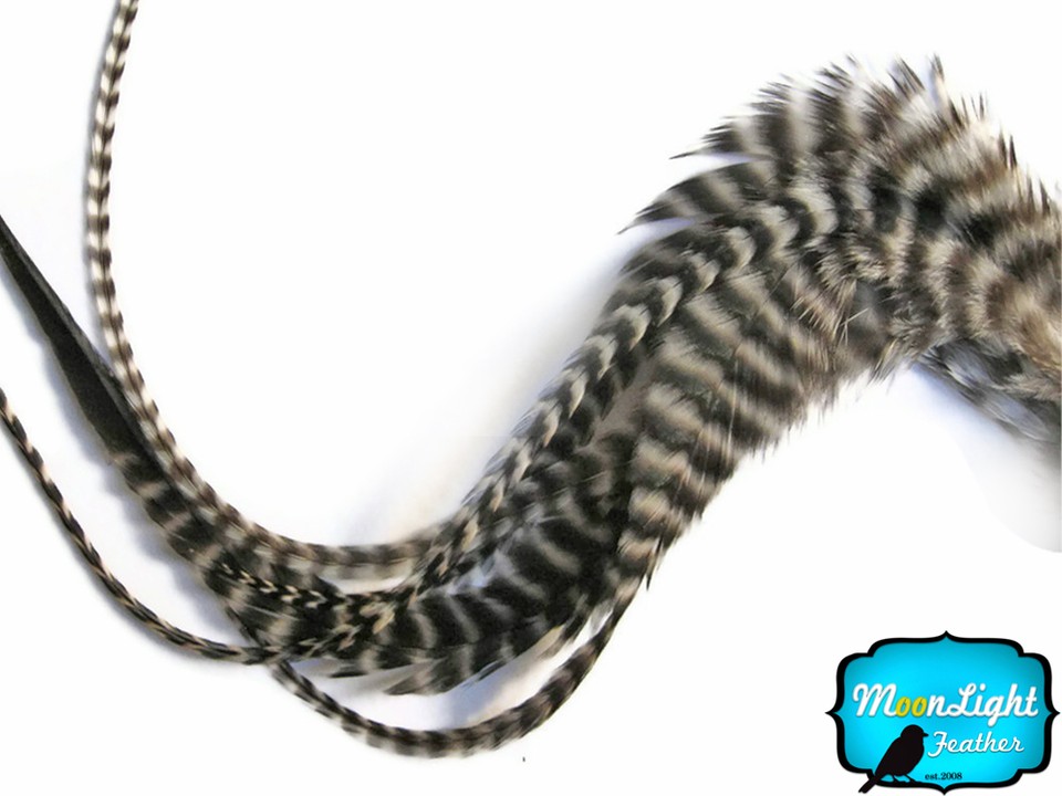 6 pieces - NATURAL Thick Long Grizzly Rooster Hair Extension Feathers ...