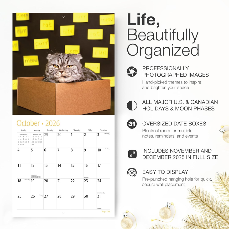 Angry Cats 2026 Wall Calendar 12 Month | 12" x 24" Open | Thick ...
