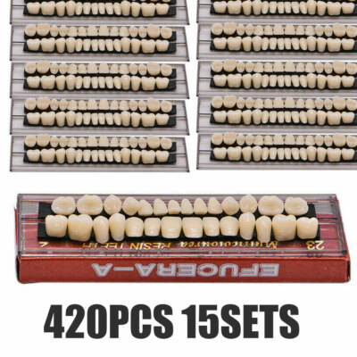 Porcelain - Denture Teeth