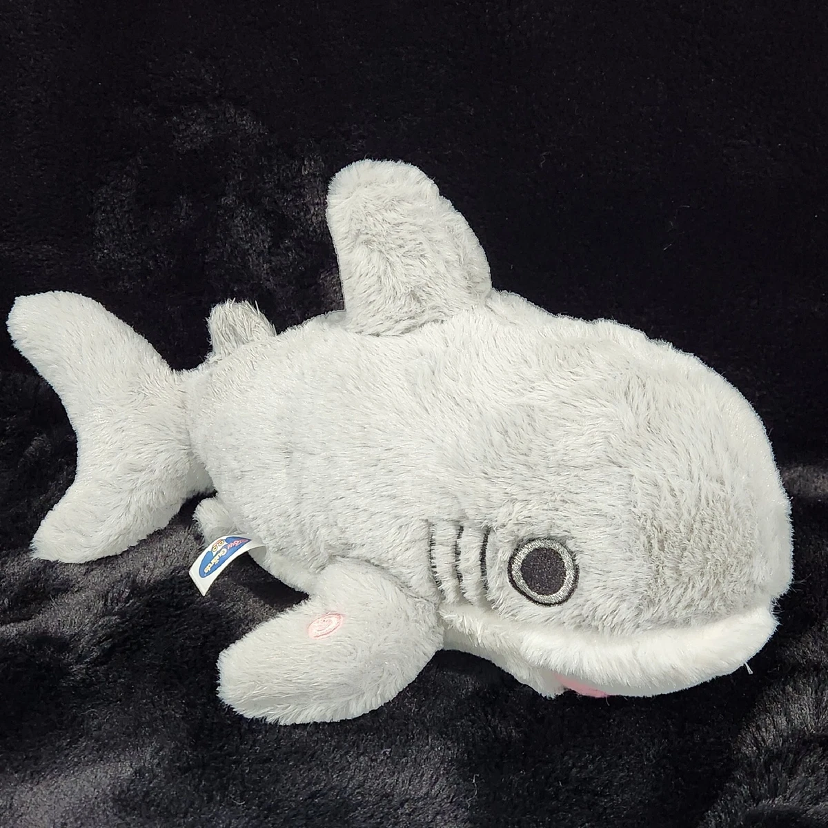 Pet Baby Shark